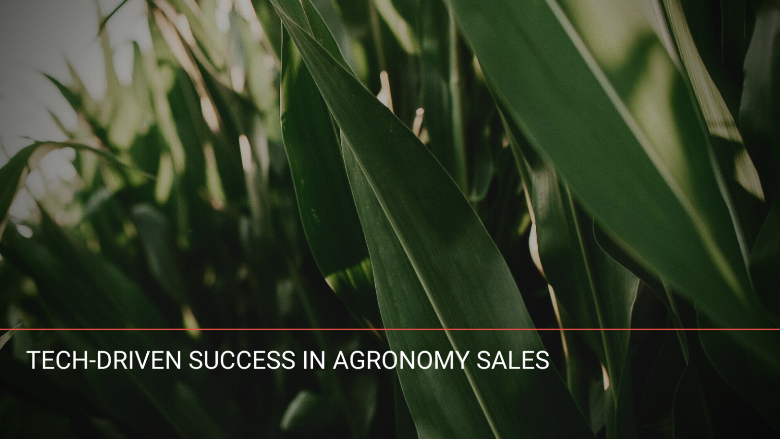 Tech-Driven Success in Agronomy Sales
