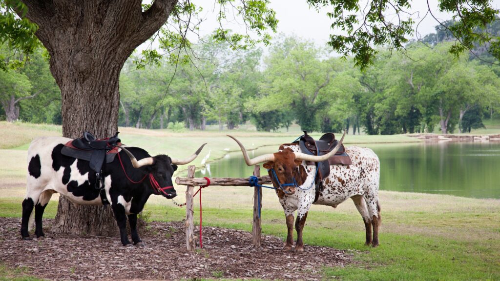 Partner Summit 2025 | AgVend